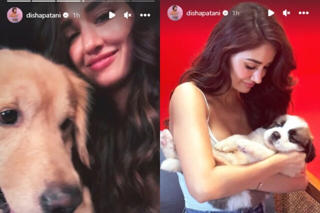 Disha Patani Has The ‘Pawfect’ Time On Sets With This Adorable Co-Star; Watch - News18