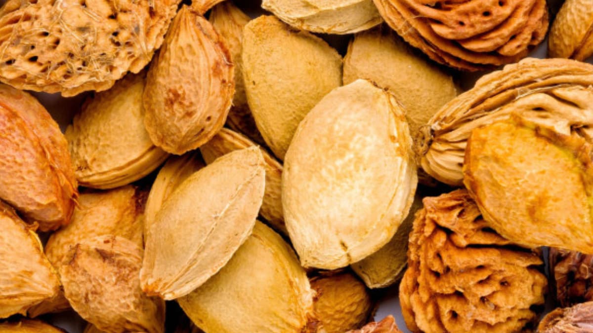 Stop Throwing Away Your Fruit Peels and Pits | Viral News - News18