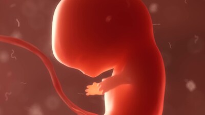 Lab-grown Human 'Embryos' Offer New Research Hope | Viral News - News18