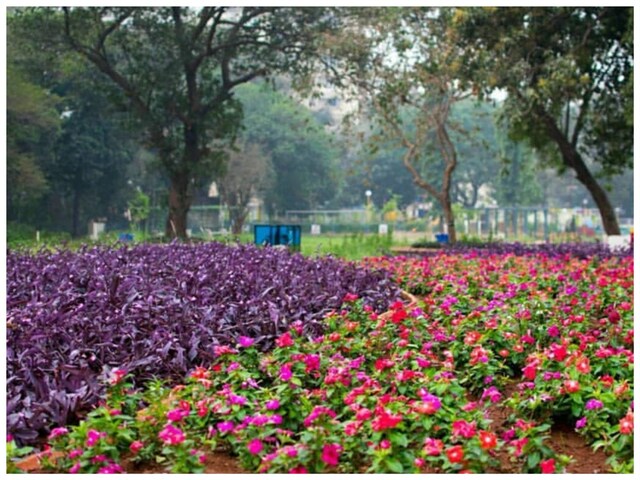 Mumbai Iconic Hanging Garden To Be Shut for 7 Years Over Reconstruction ...