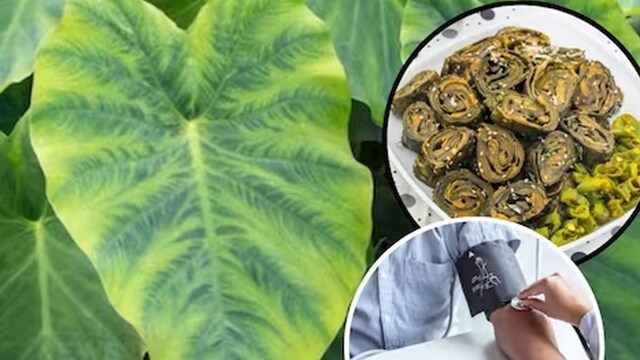 7 Health Benefits of Taro Leaves, A Nutrient Powerhouse - News18