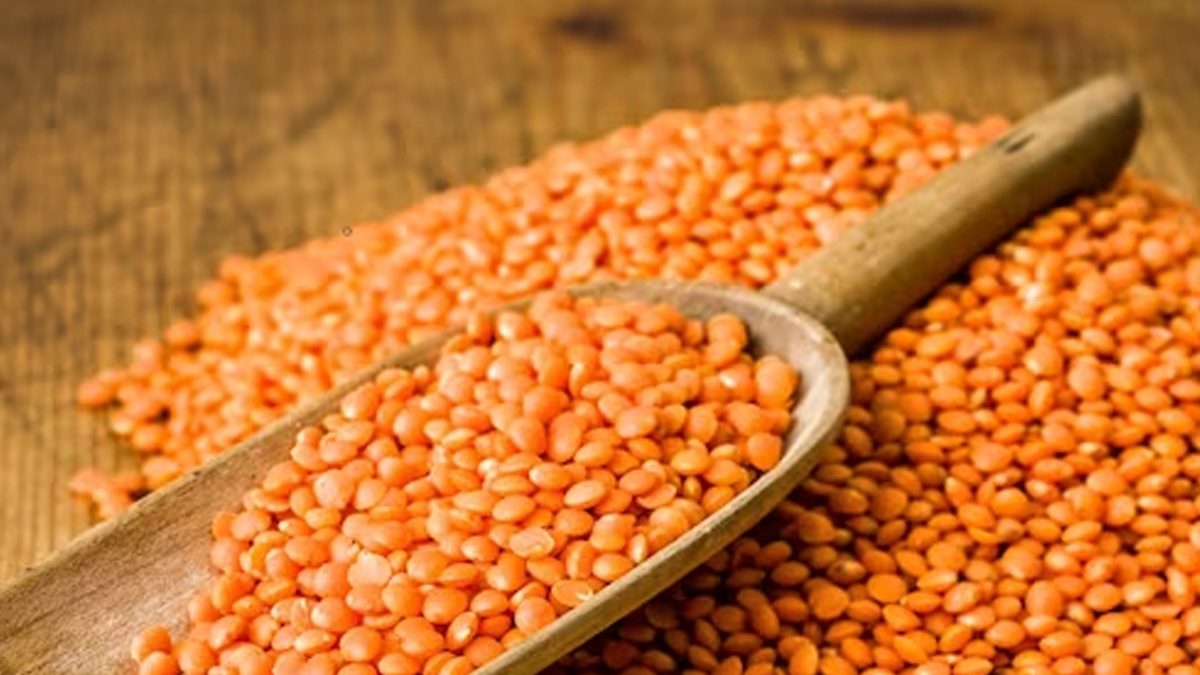 Govt Crackdowns On Lentil Hoarding And Black Marketing To Control Price ...
