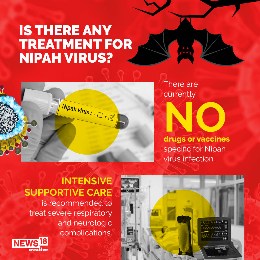 Nipah Fear Back Again: From Symptoms to Transmission, All You Need to Know About the Virus | In ...