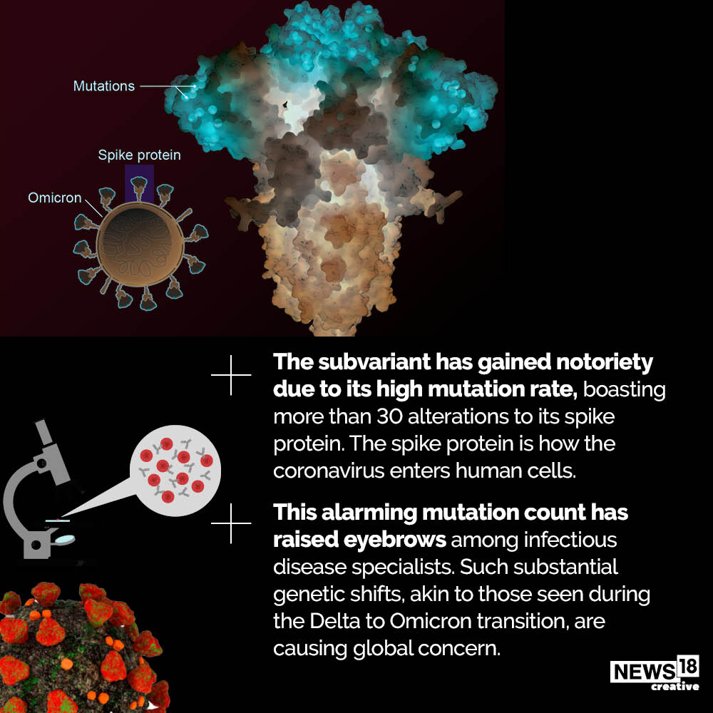 Omicron Sub-variant Pirola Emerges As Cause of Concern | Explained in ...
