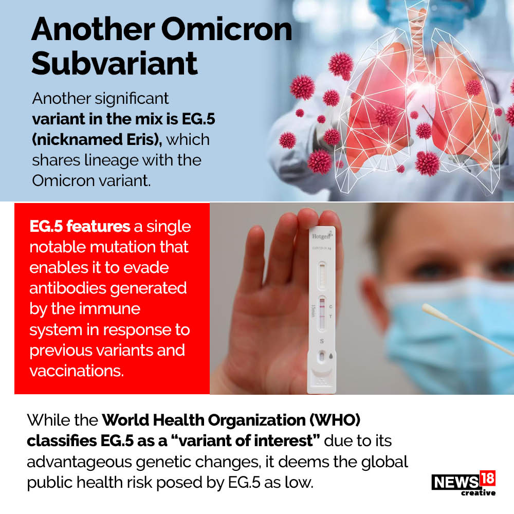 Omicron Sub-variant Pirola Emerges As Cause of Concern | Explained in ...