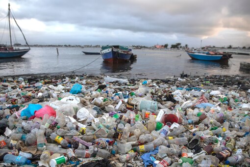 Beating Plastic Pollution: Innovative Ways in Which India is Tackling ...