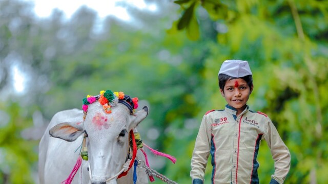 Pola 2023: Wishes, WhatsApp Messages, Quotes and Greetings to Share on ...
