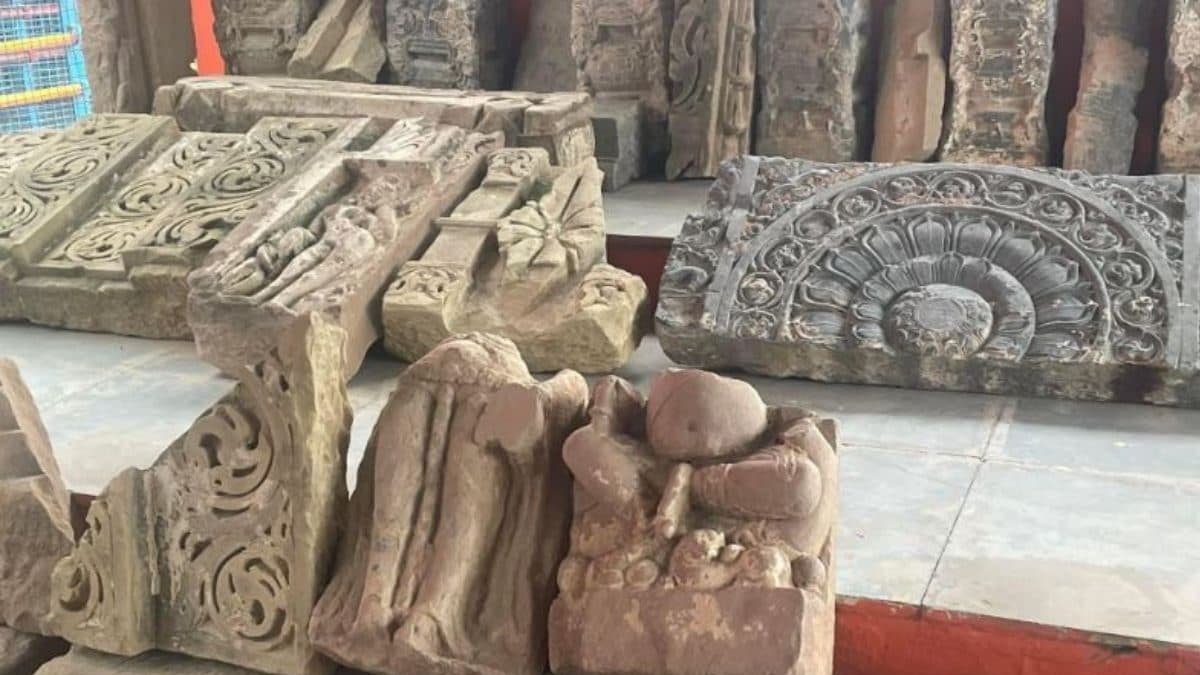 Pillars, Relics, Other Artefacts Unearthed from Ram Temple Site to be ...