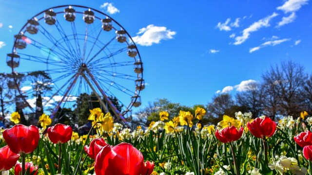 Head To Canberra’s Epic Floriade Festival To Immerse In A Sea of 1 ...