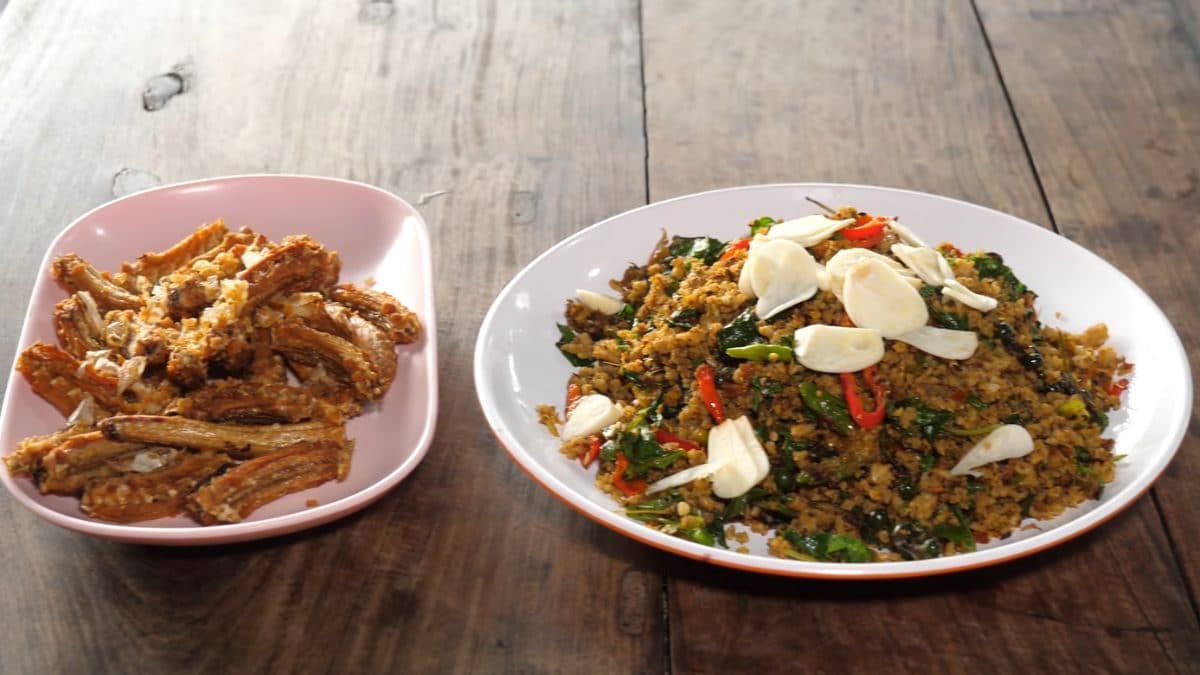 Watch: This Restaurant In Thailand Sells King Cobra Meat | Viral News ...