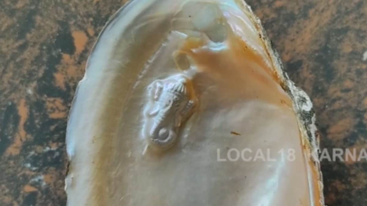 Karnataka Farmer Grows Pearls At Home, Earns Thousands From Each Shell ...