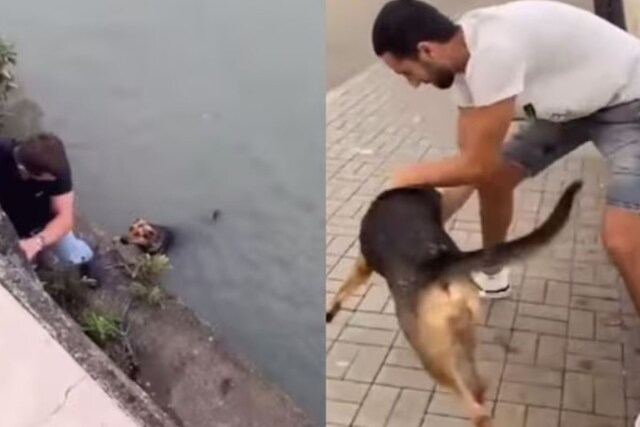 Video Of Man Rescuing Dog From Drowning And Its Reaction Is The Cutest ...