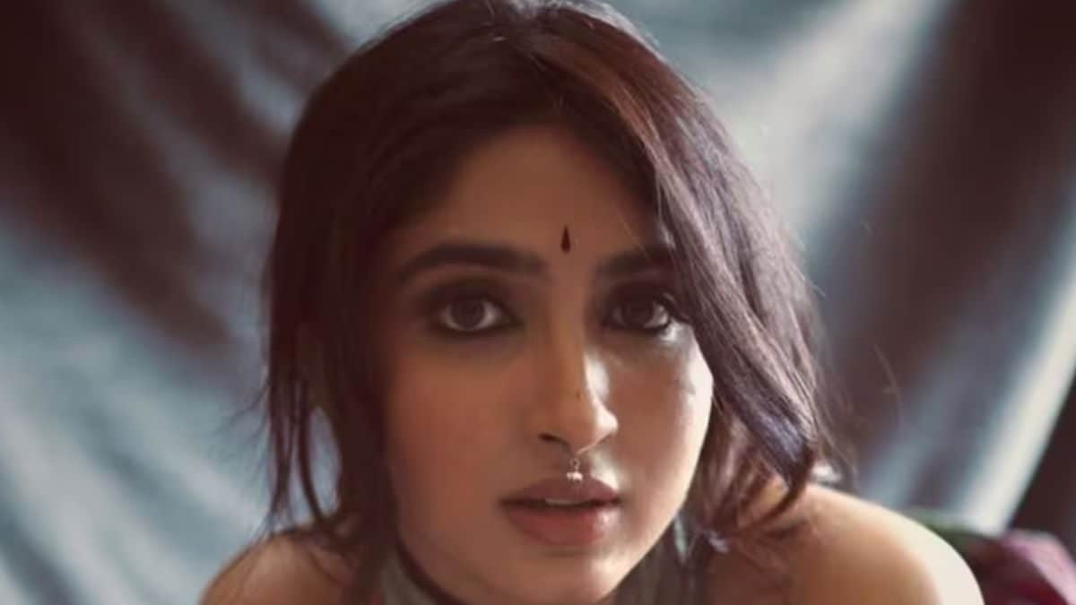 Actress Saanya Iyer Sets Temperature Soaring In Her Vintage Look ...