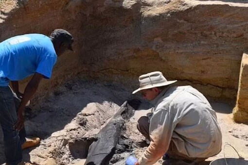 5 lakh-year-old Remnants Of Wooden Structures Discovered In Zambia - News18