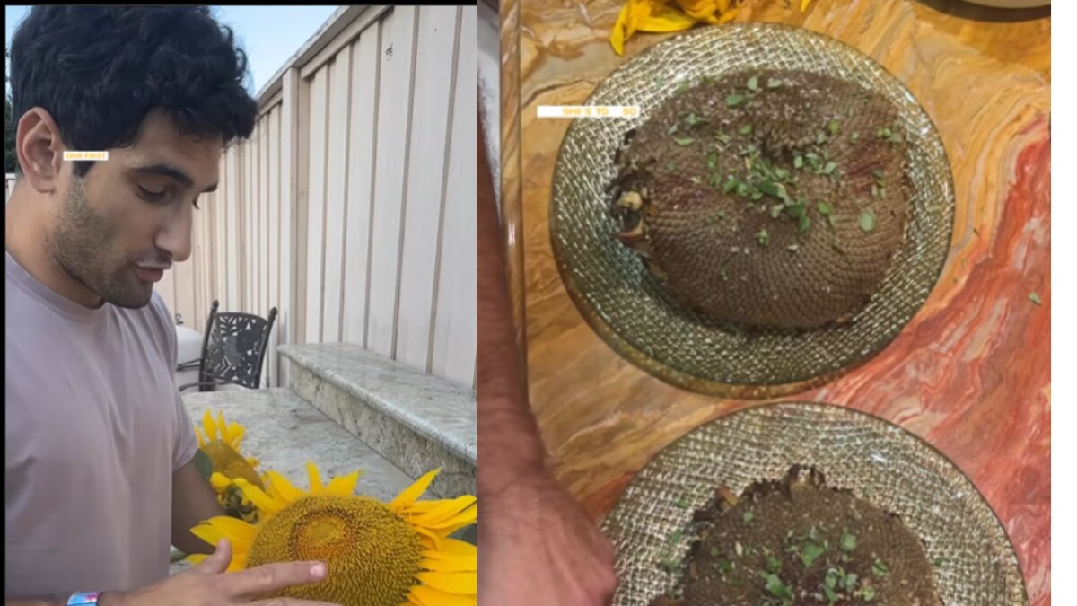 Man Plucks, Grills and Eats Sunflower in this Viral Video | Viral News ...
