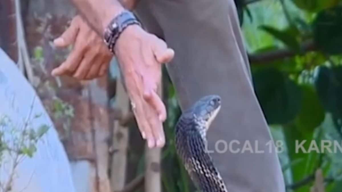 Meet Snake Joy, The Kannada Man Who Has Rescued Around 7000 Serpents ...