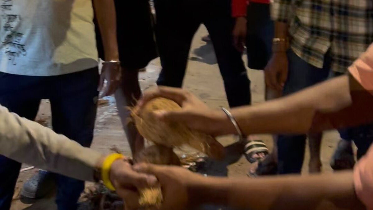 10/10 If You Can Guess The Motive Behind This 'Cracking Coconut ...