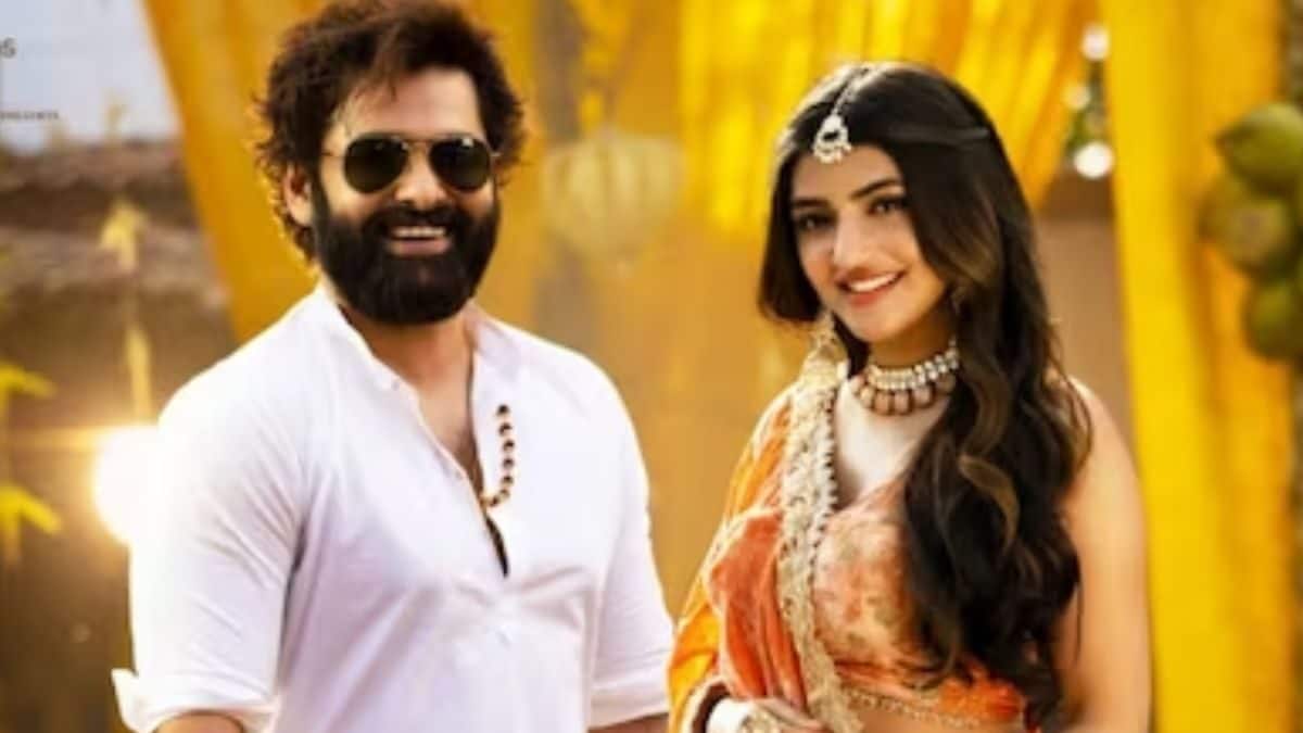 Skanda Twitter Review: Action Scenes In Ram Pothineni-starrer Impress ...
