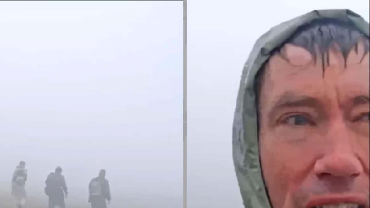 How Cameras Installed For Bears Saved A Hiker’s Life In Alaska | Viral ...