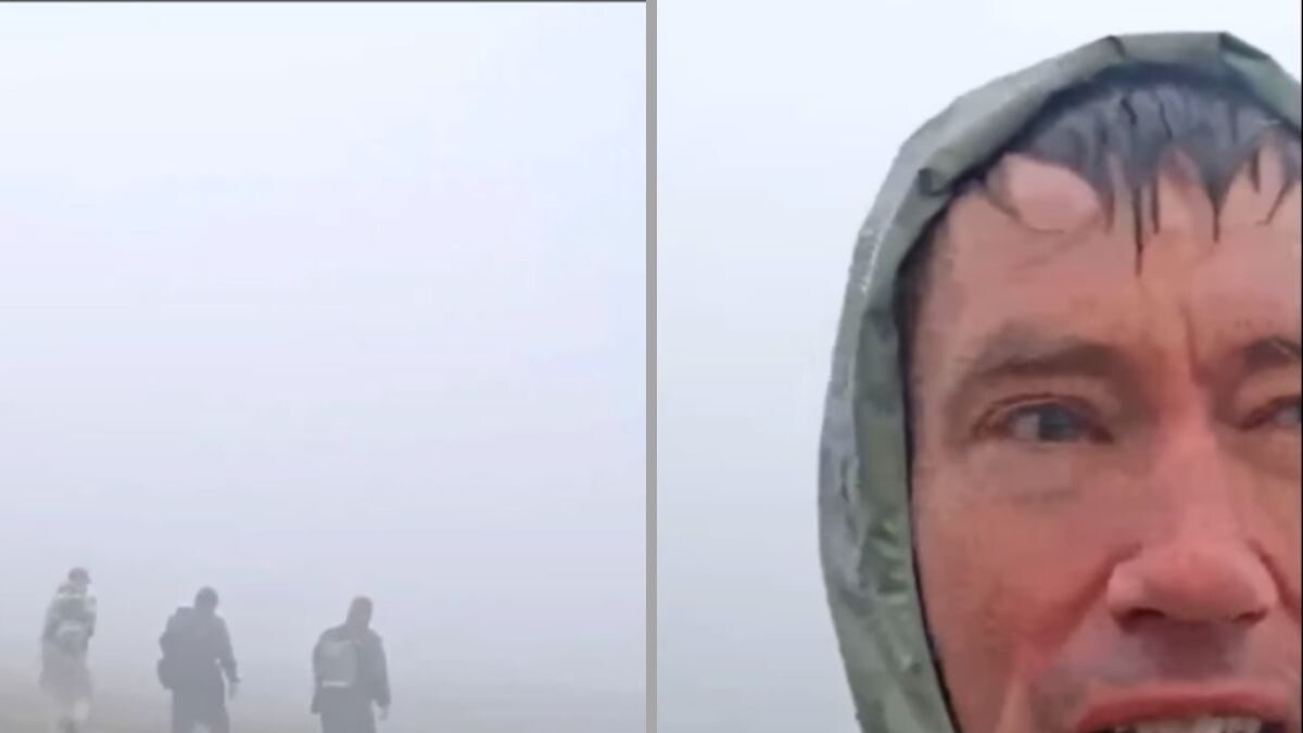 How Cameras Installed For Bears Saved A Hiker’s Life In Alaska - News18