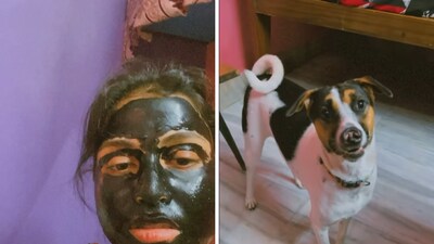 Watch: Dog's Reaction After Watching Owner In Face Mask Is Pure Comedy ...