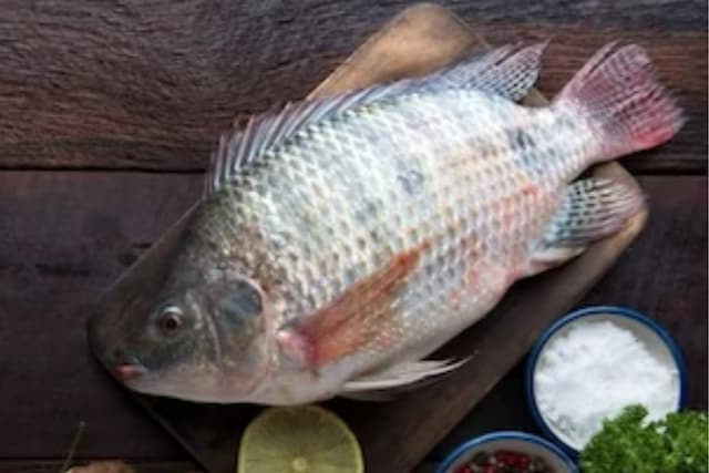 Craving Something Healthy And Delicious? Try This Oven Roasted Whole ...