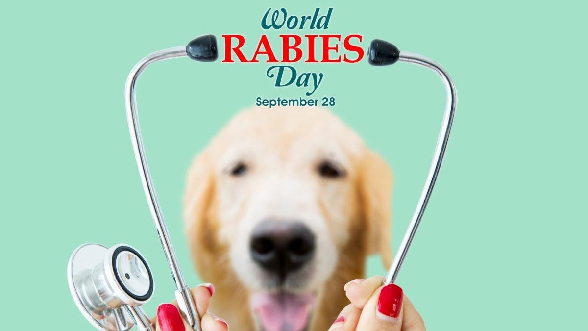 World Rabies Day 2023: Theme, History, Rabies Cause, Symptoms, Cure and Prevention | Lifestyle ...