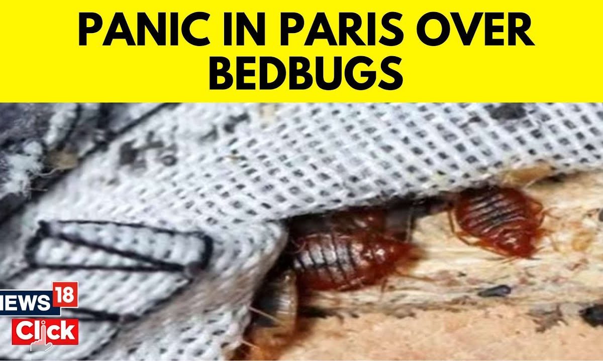 France News | France's Government Is Working Hard To Contain A National ...