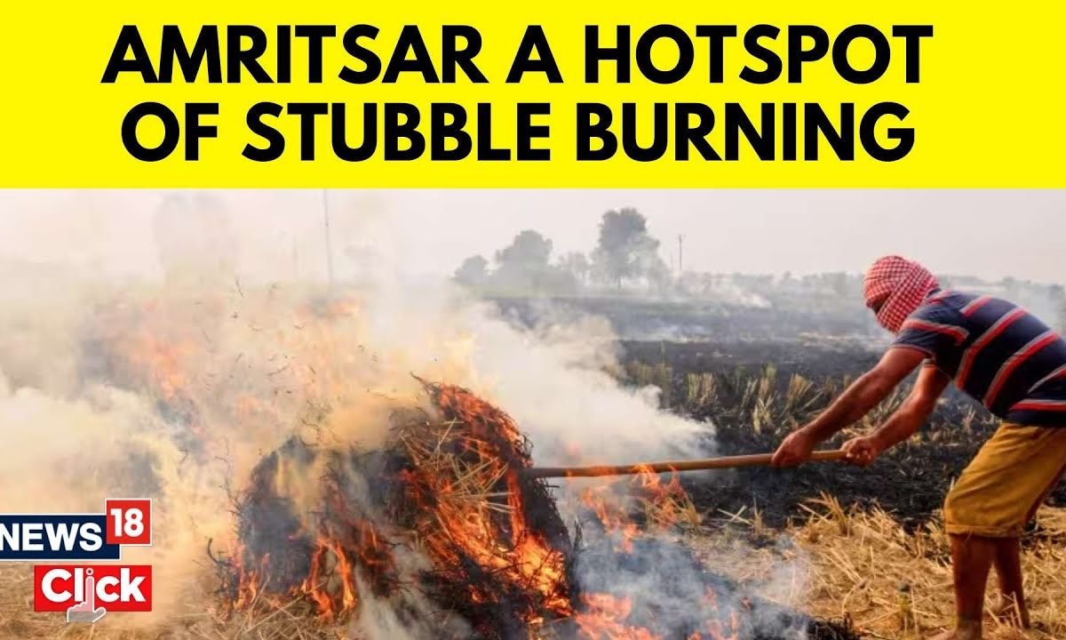 Stuble Burning In Punjab | Punjab Is The Biggest Contributor Of Farm ...