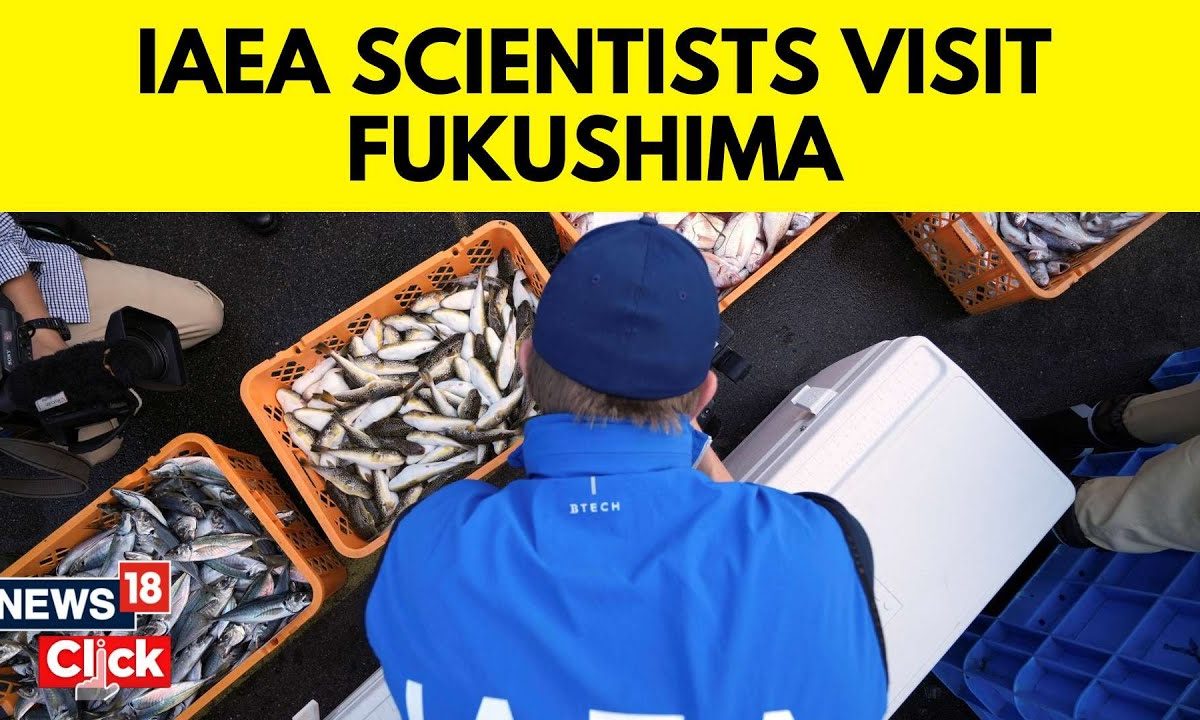 Fukushima Water Release | Scientists Test Fukushima Fish After Nuclear ...
