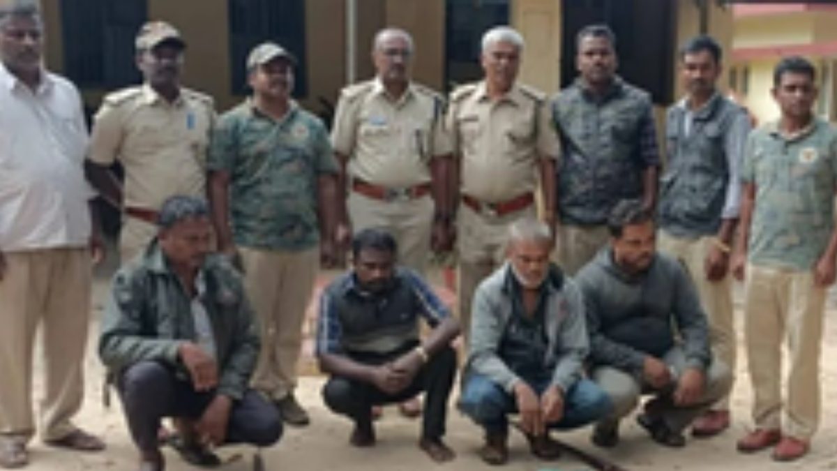 Four Arrested for Killing Bats for Meat in Karnataka | India News - News18