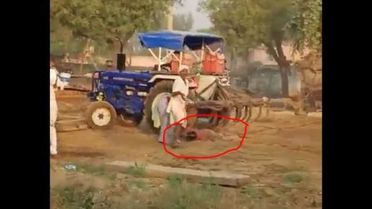 In Shocking Video, Rajasthan Man Drives Tractor Over Brother 8 Times ...