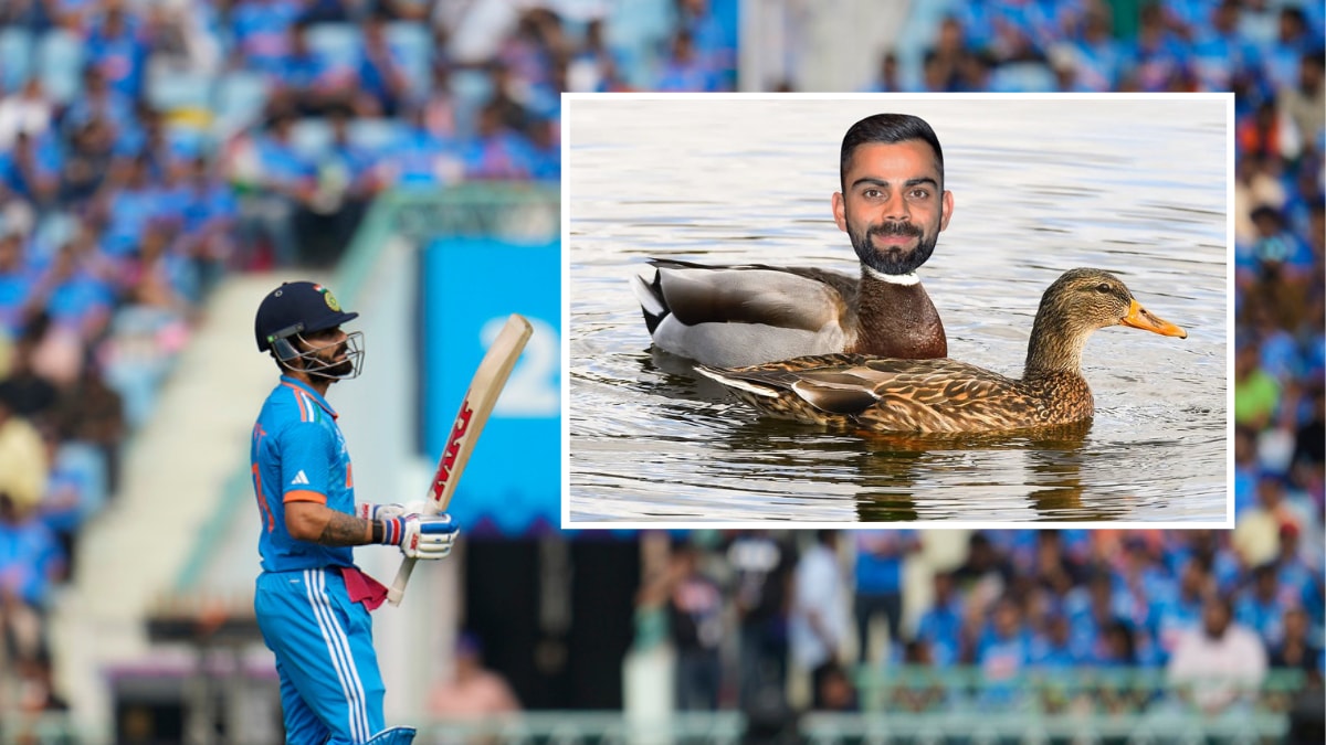 What The Duck! England's Barmy Army Troll Virat Kohli With 'Morphed ...