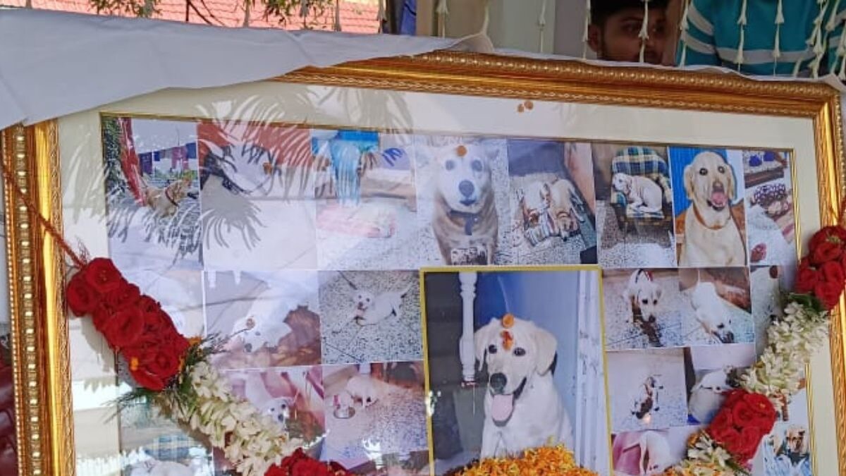 Odisha Family Pays Tribute to Pet Dog After Death, Performs All Rituals ...