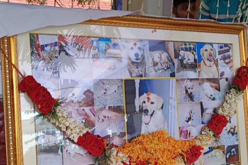 Odisha Family Pays Tribute to Pet Dog After Death, Performs All Rituals ...