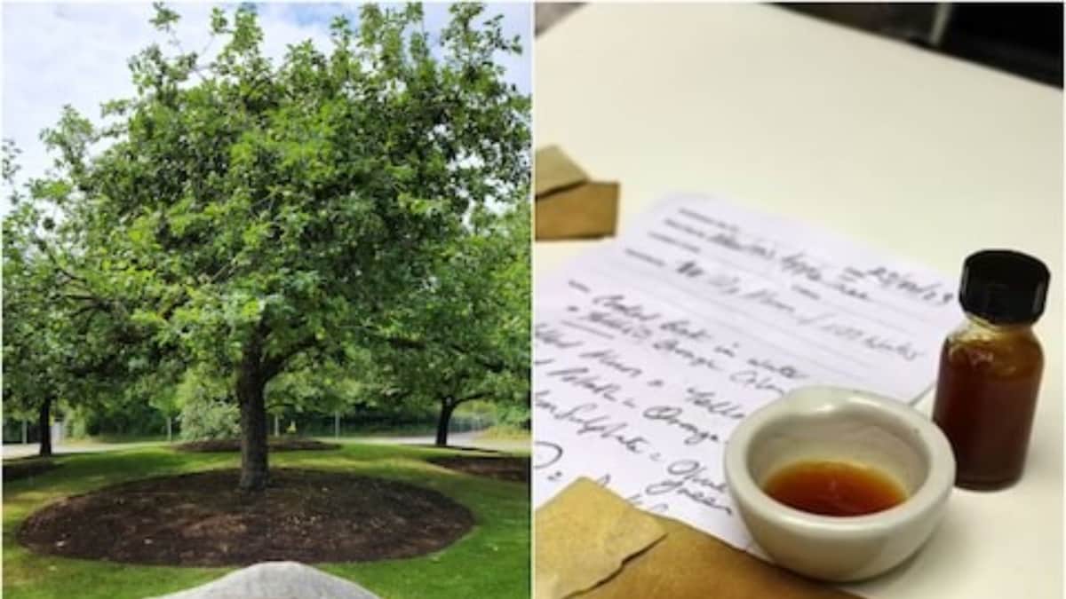 Cambridge University Artist Creates Unique Ink From Clone of Sir Isaac ...