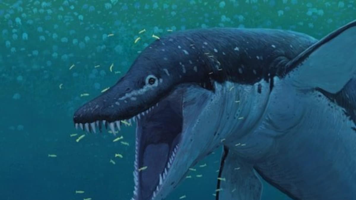 Scientists Discover 170-million-year-old Mega Sea Predator’s Remains ...