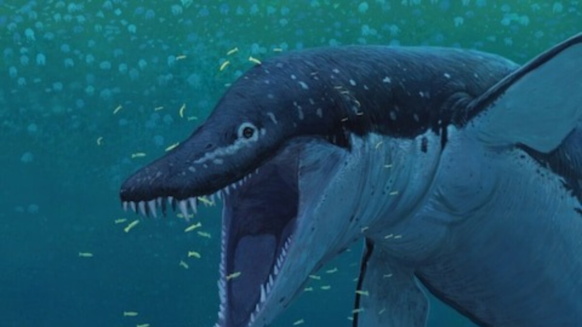 Scientists Discover 170-million-year-old Mega Sea Predator’s Remains ...
