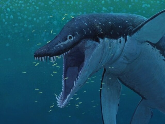 Scientists Discover 170-million-year-old Mega Sea Predator’s Remains ...