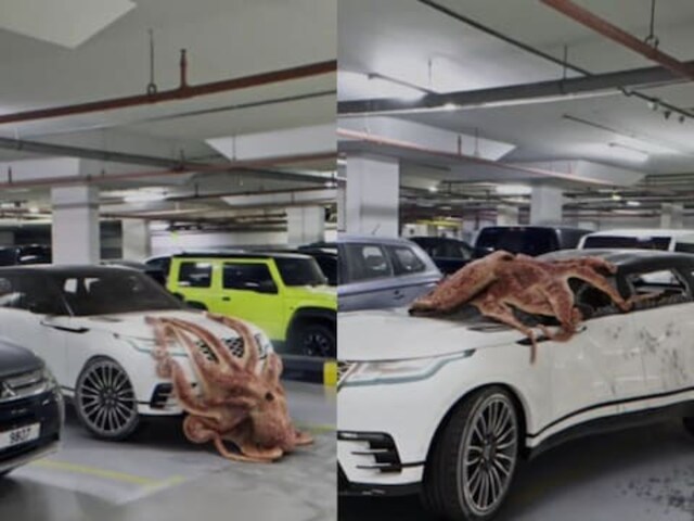 Octopus Shatters Car In Parking Lot Within Seconds? Here's The Truth ...