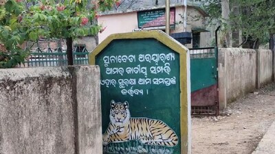 Odisha: 8-Year-Old Boy Killed In Leopard Attack While Playing In Front ...