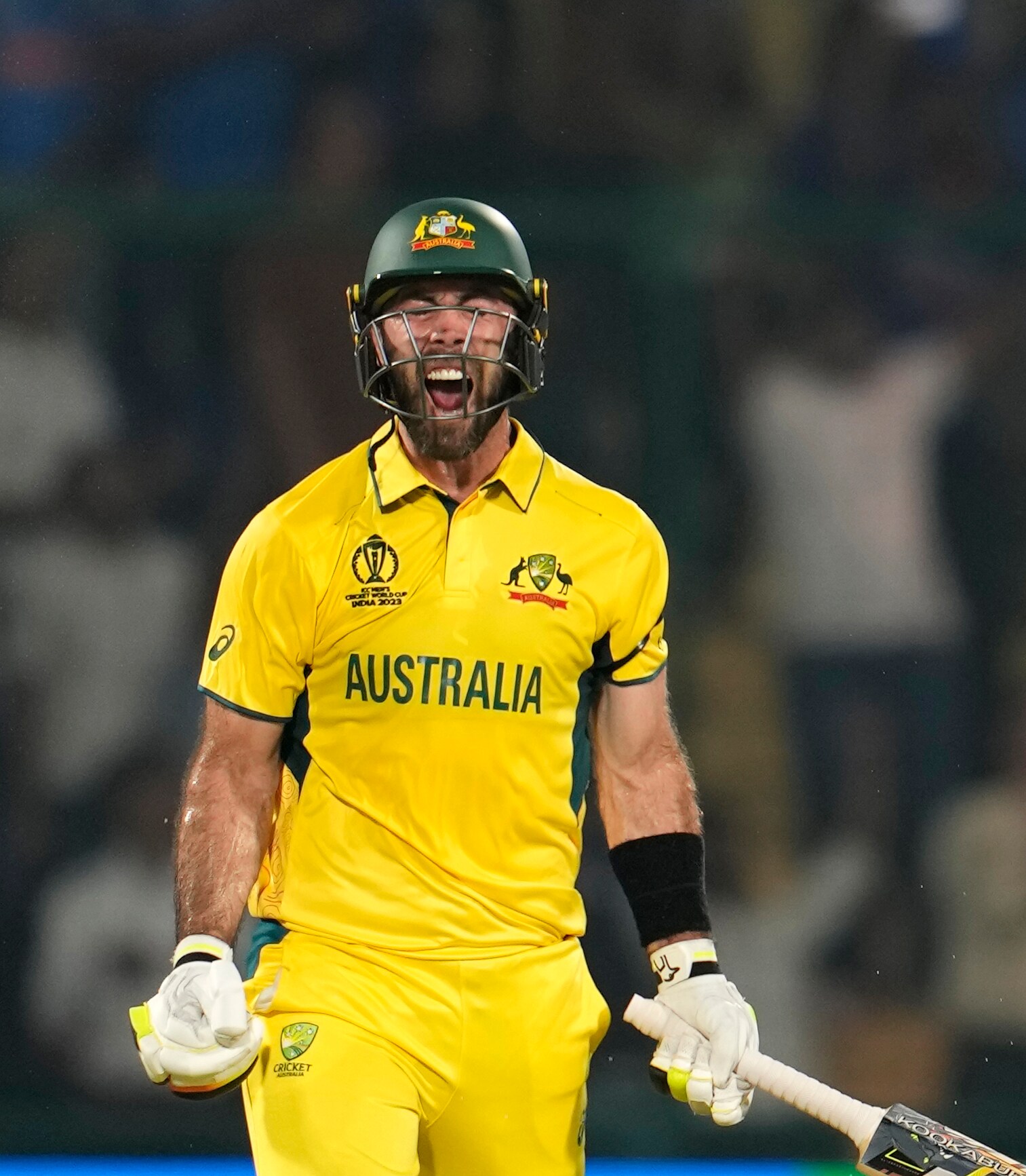 AUS vs NED in Photos: Maxwell, Warner and Zampa Shine After Record Win ...