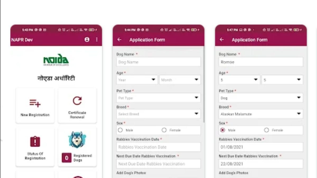 Noida Residents, It’s Now Mandatory To Register Pet Dogs- How To Do It ...