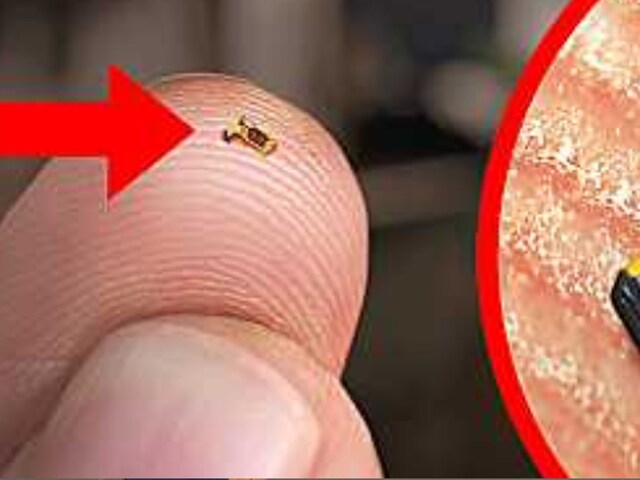 YouTube Trending Videos: Mark Rober Uses World's Smallest Nerf Gun To Challenge An Ant - News18