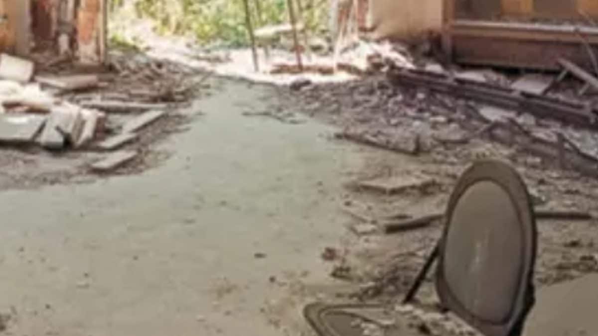 What Happens To An Island If Humans Abandon It For 60 Years? This Video ...