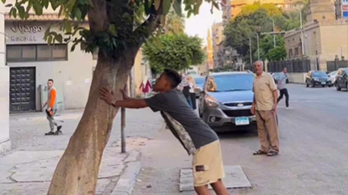 Man Collects Money Falling From Tree; What Happens Next Is Hilarious ...