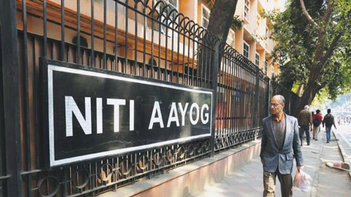 Opinion | My Seven Years at NITI Aayog as a Lateral Entrant in Government | Opinion News - News18
