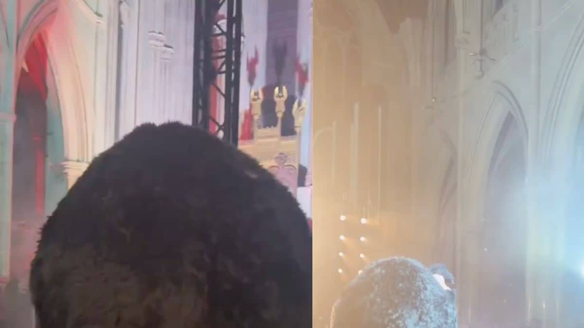 Paris Fashion Week 2023: Model Dressed As Furball Gets Lost on Runway ...