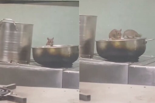 Rats Feast on Pantry Food on Mumbai-Goa Express Train, IRCTC Responds ...