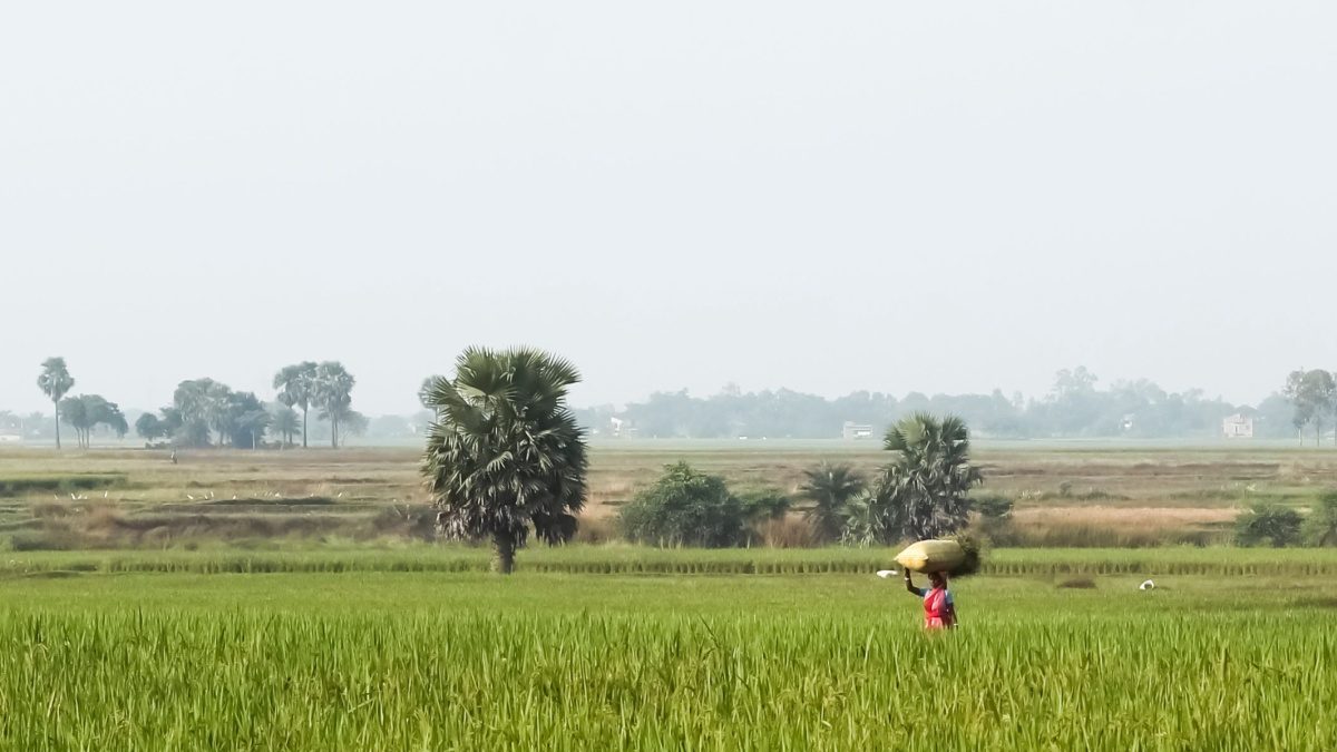 Mahila Kisan Diwas: Discover the Story of Vasuki, an Emblem of ...